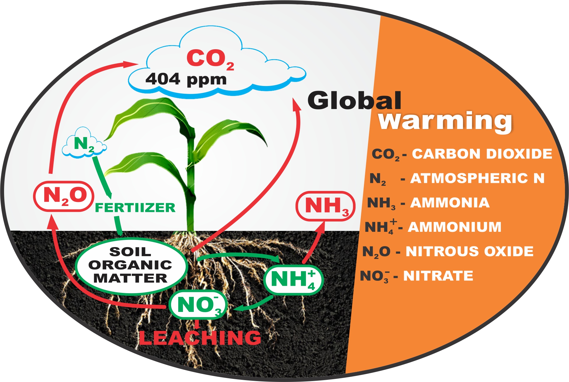 Nitrogen Use Efficiency Defined Nitrogen Use Efficiency Defined